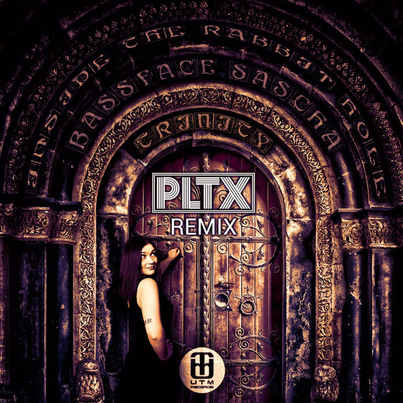 Inside the Rabbit Hole (PLTX REMIX) - PLTX | DJ, Sounddesign & Mastering, Mixdown | Dresden, Germany